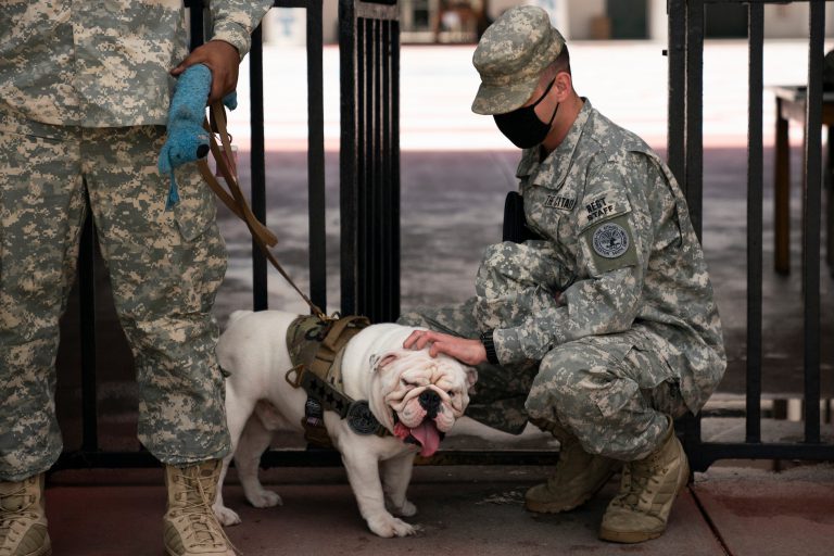 Meet The Citadel's new mascot, Gen. Mike D. Groshon, a.k.a. G3 - The ...