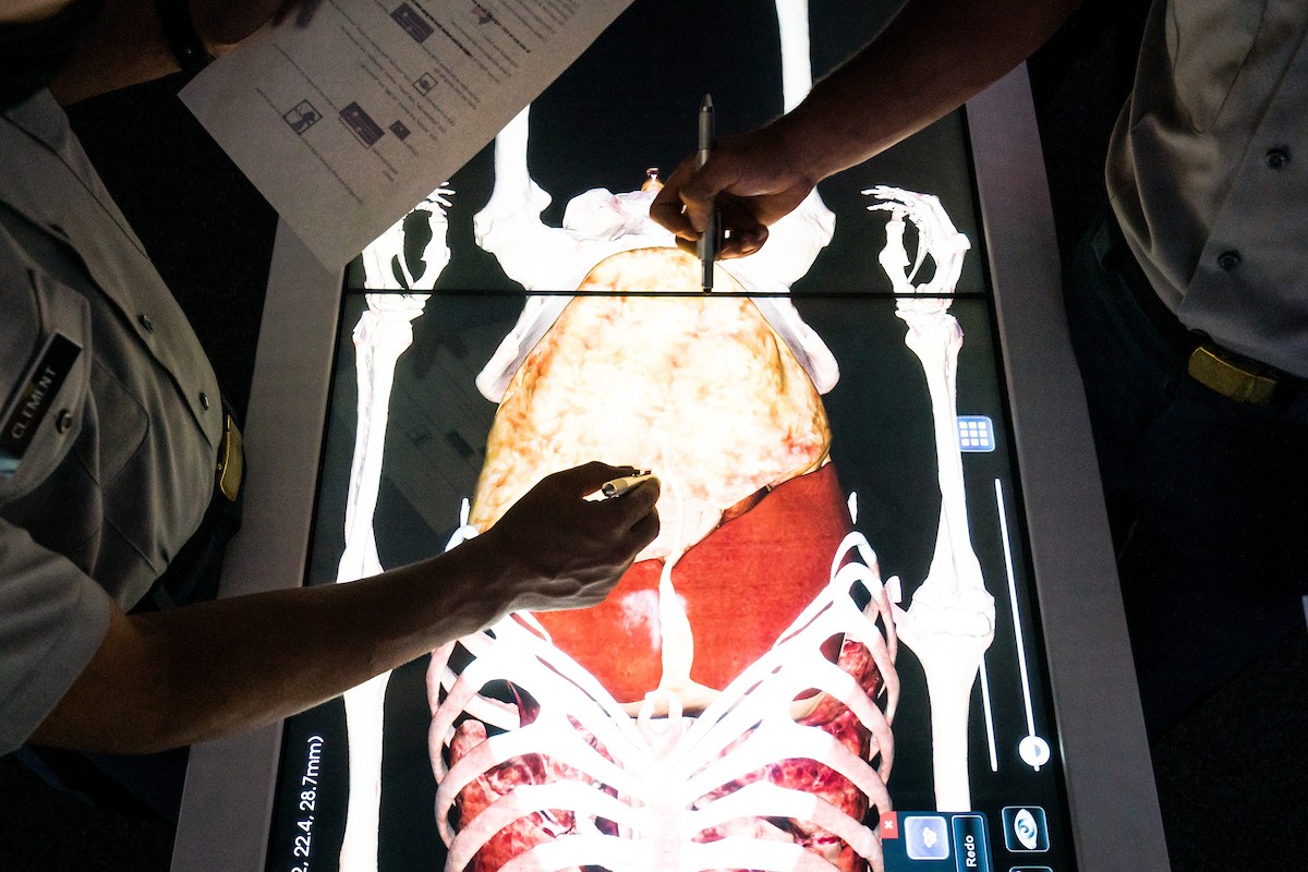 A new kind of Frankenstein: bringing cadavers back to life in the ...