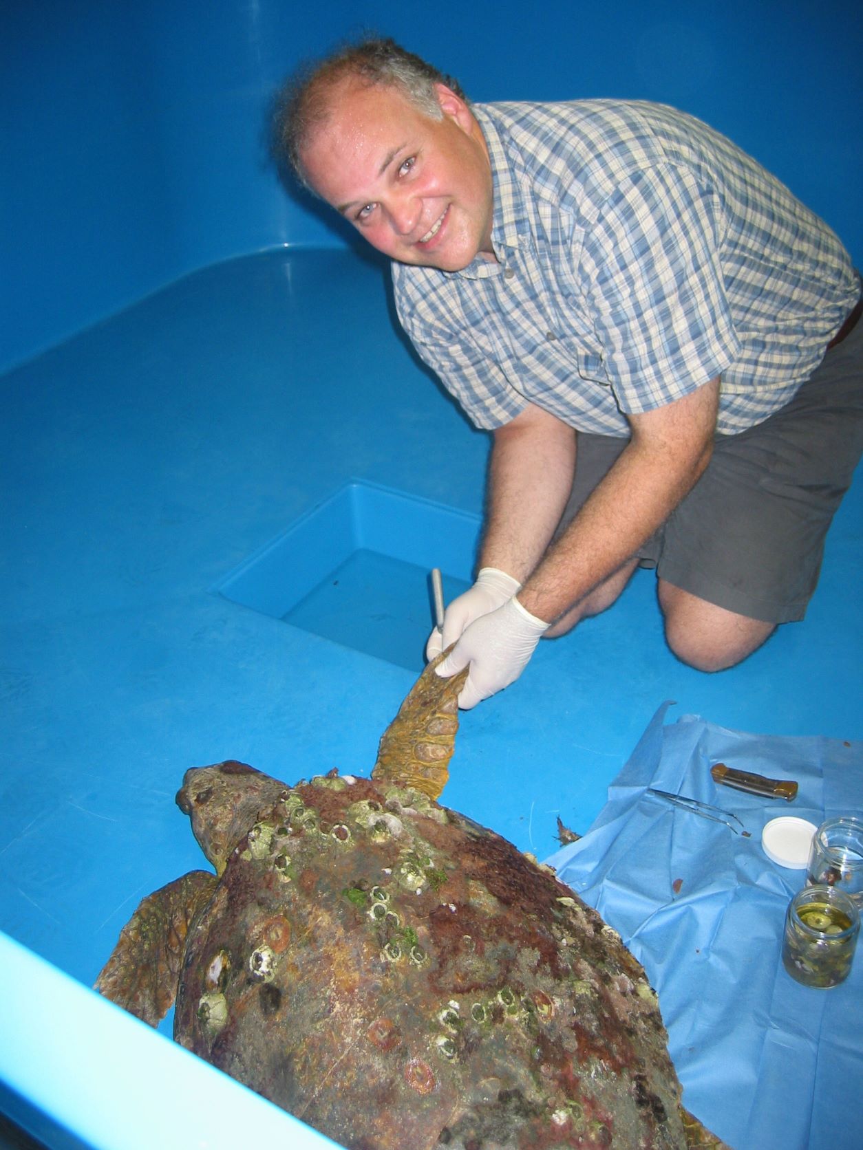 "Surfing" barnacles research earning Citadel scientist international ...