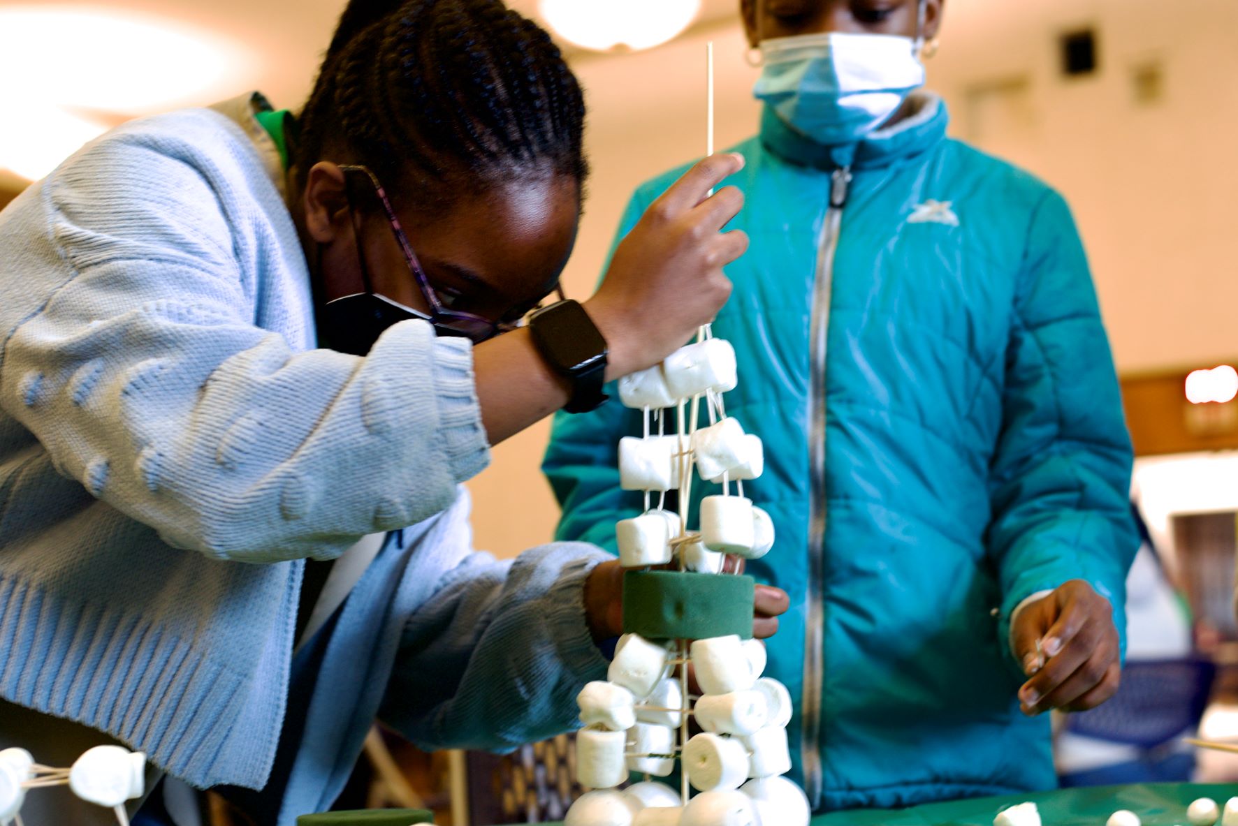 Acquainting girl scouts with the fascination of engineering - The ...
