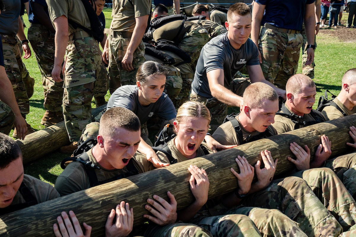"You chose to be different" - The Citadel Today