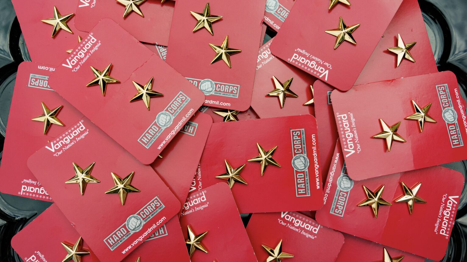 Gold stars for fall 2024 awarded to Citadel cadets and students - The ...