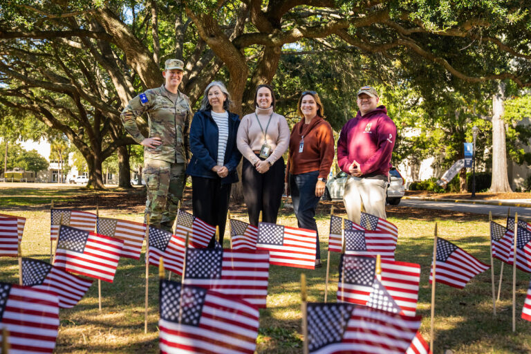 Flags for heroes: Veterans Day display celebrates service members and ...